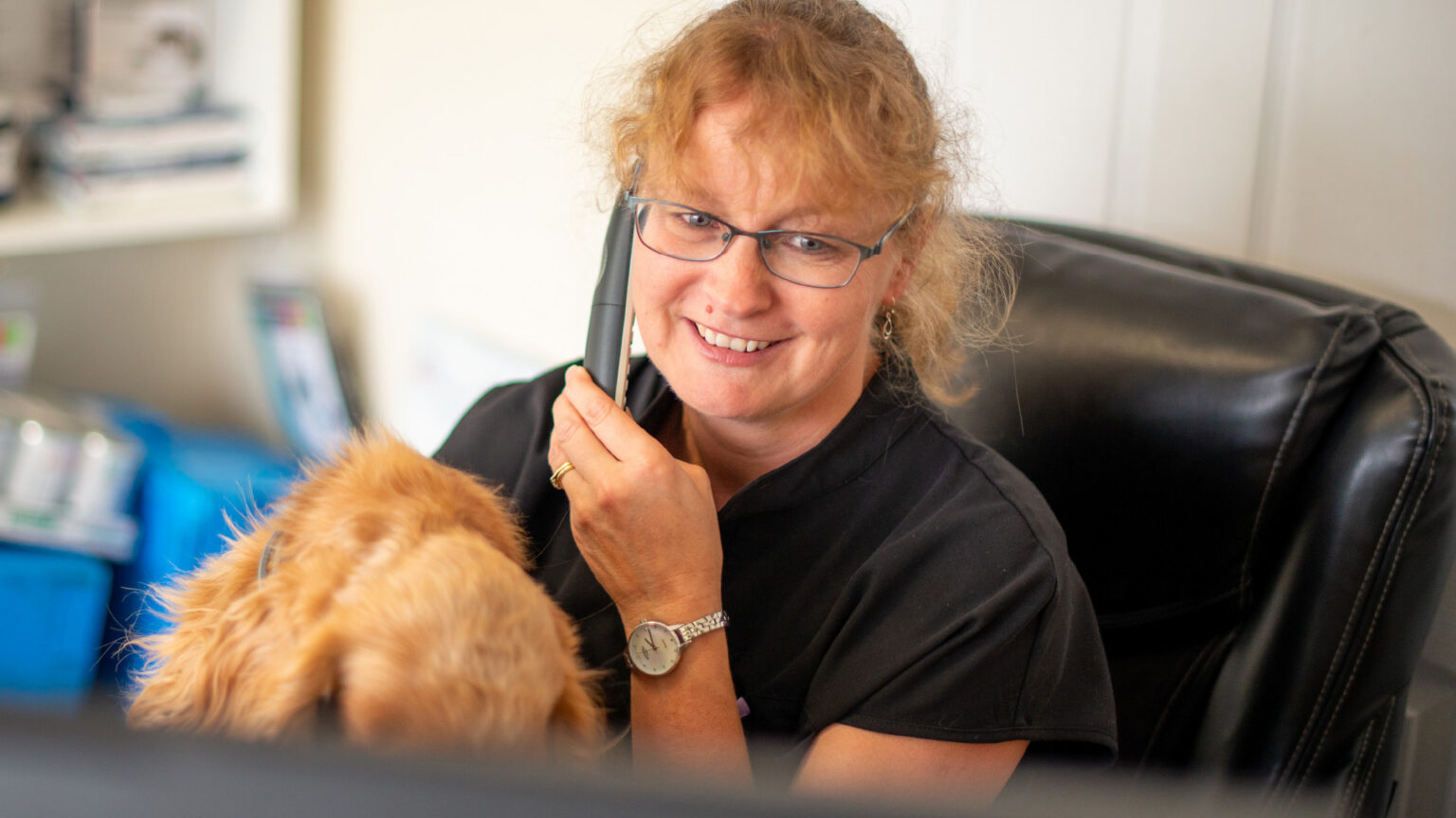 Contact us | The House Vet